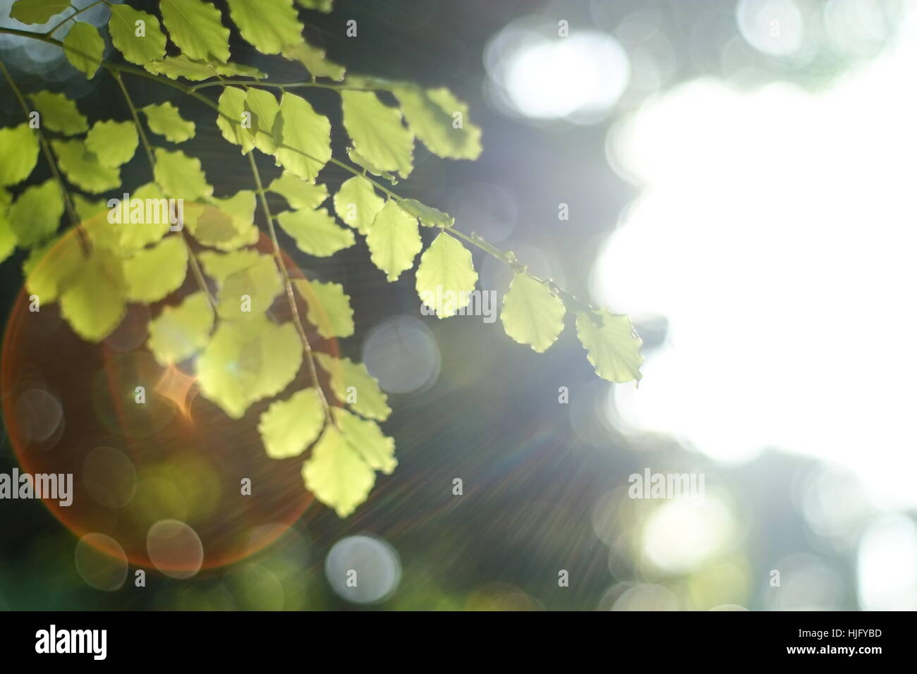 A Ray Of Hope Stock Photo - Alamy