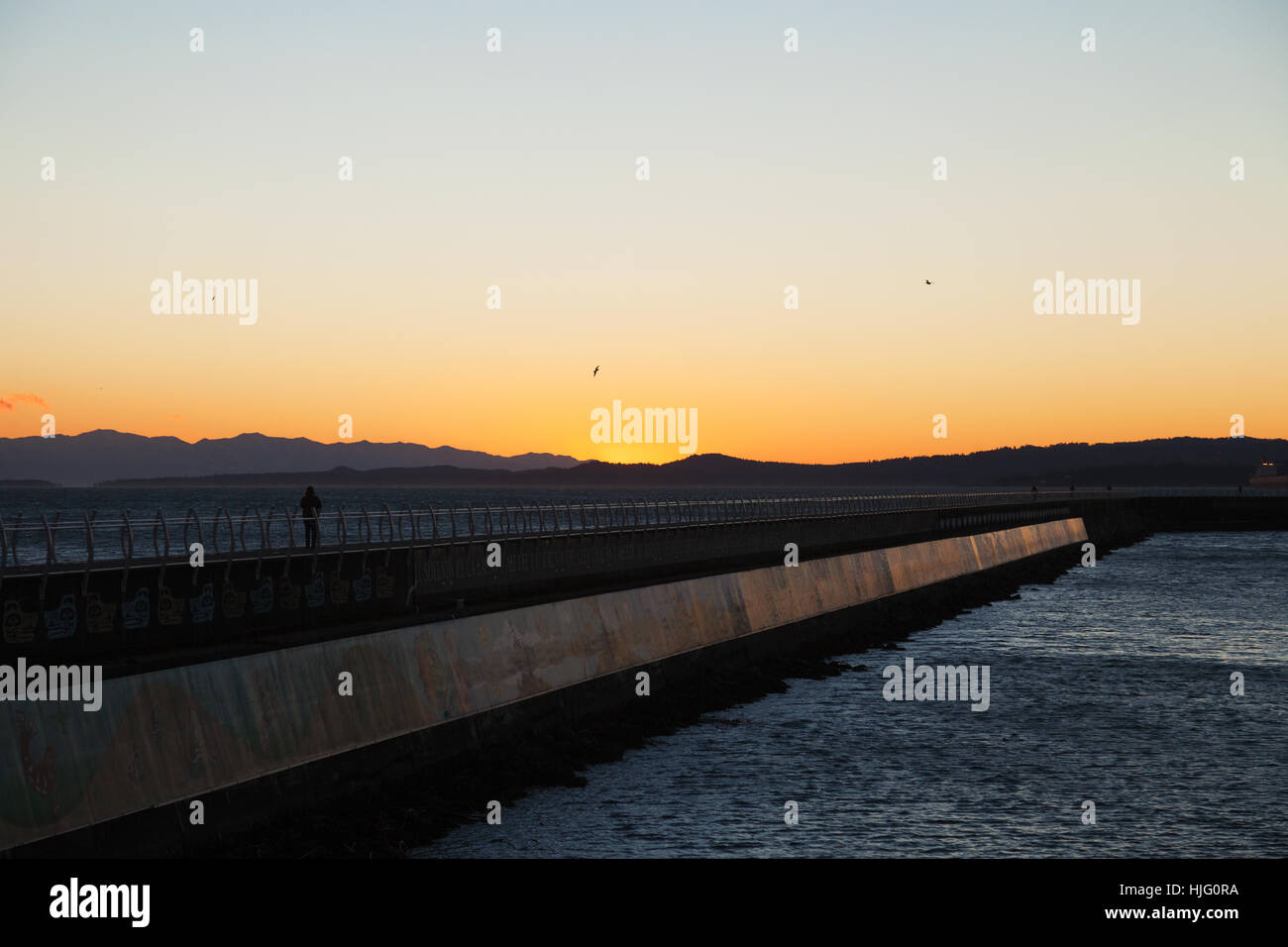 Ogden point hi-res stock photography and images - Alamy