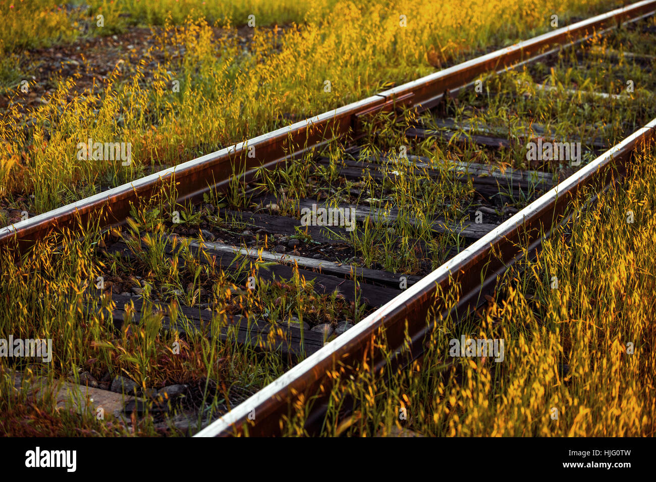 Old railway track Stock Photo - Alamy