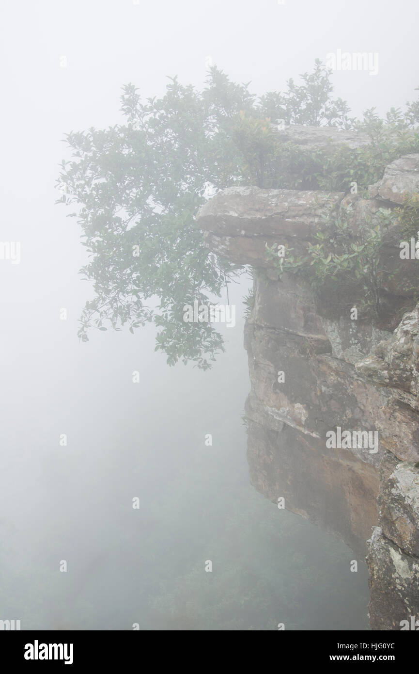 Sandstone cliff above deep misty Stock Photo - Alamy