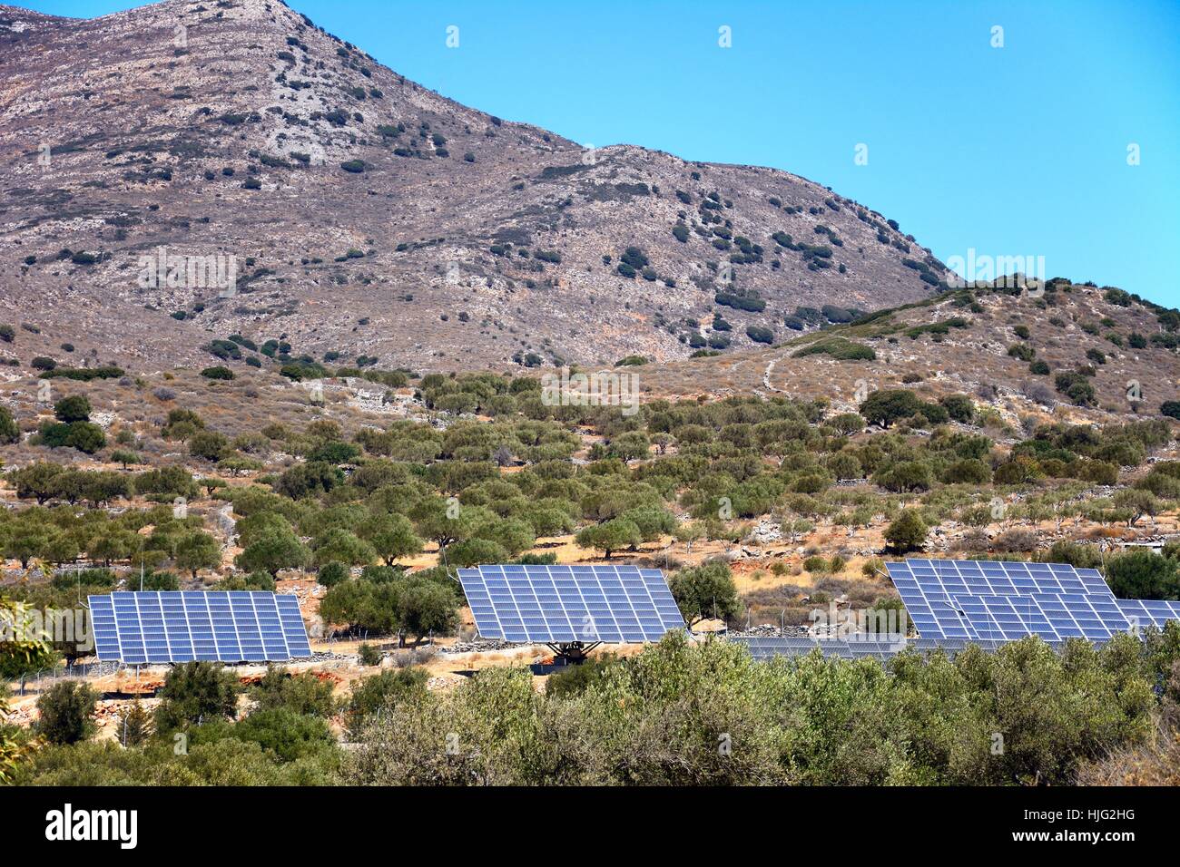 Elevated view of olive groves in the Greek countryside with solar ...