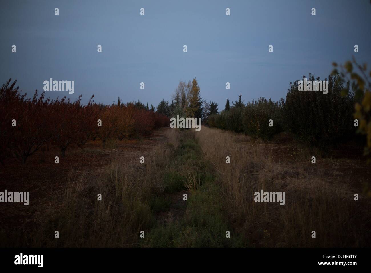 Al-Wadi The Valley Year : 2014 Lebanon / France Director : Ghassan ...