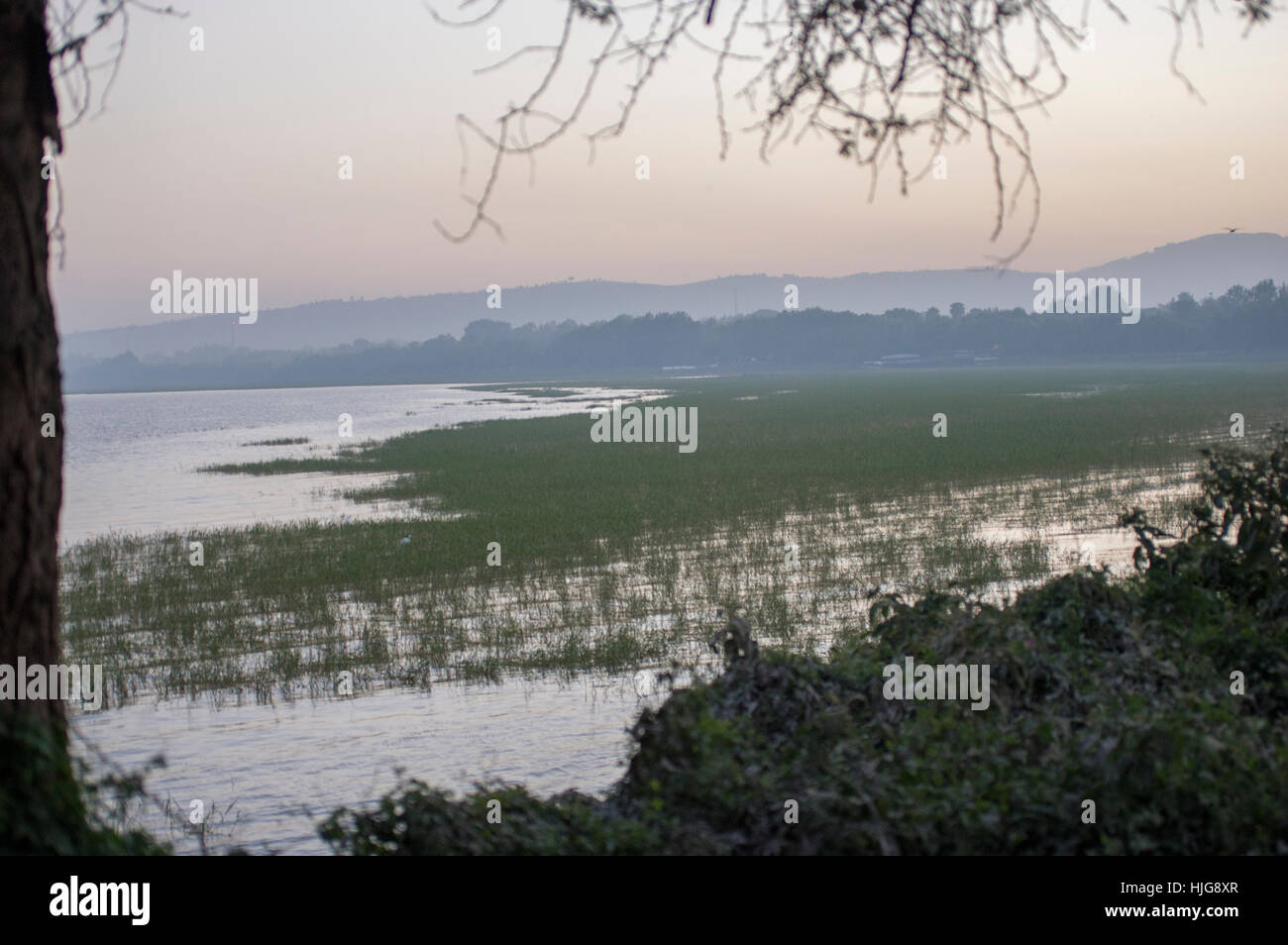 Hawassa ethiopia hi-res stock photography and images - Alamy