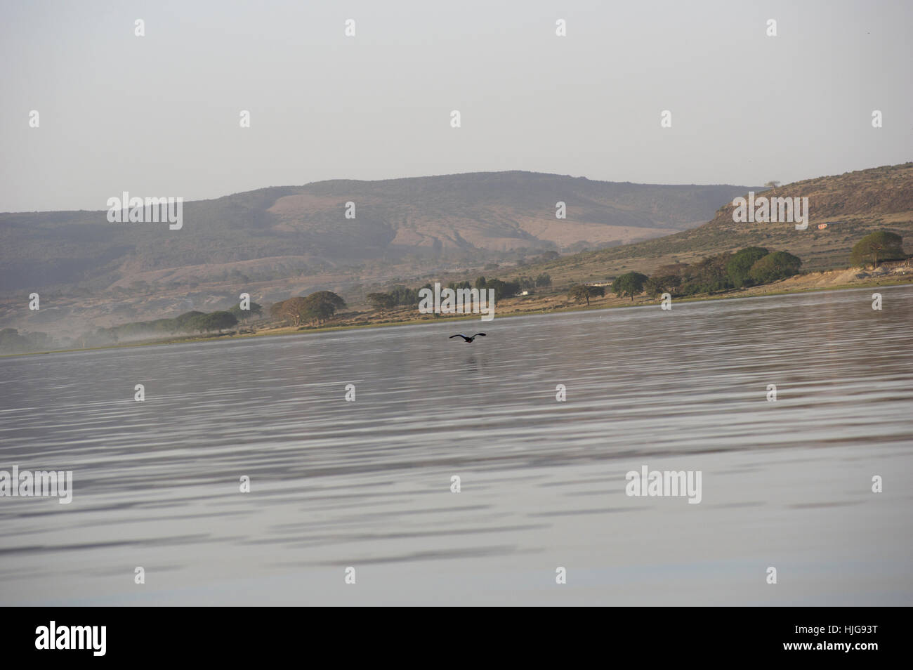 Hawassa hi-res stock photography and images - Alamy