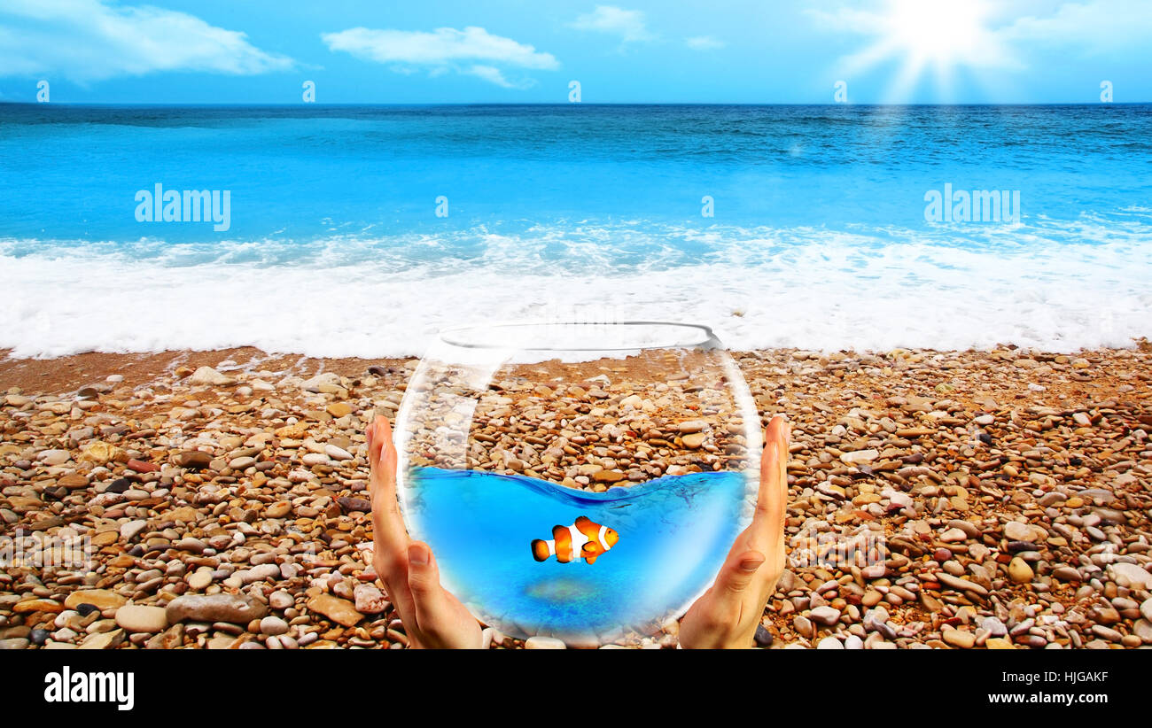 model, design, project, concept, plan, draft, animal, aquarium, fish ...