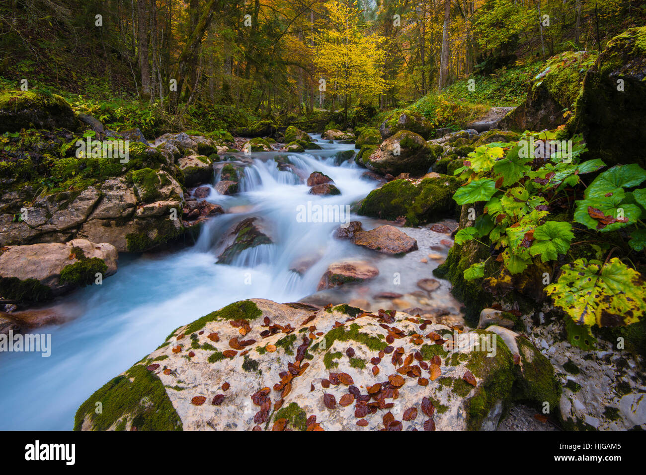 Hammersbach in autumn, Grainau, Garmisch-Partenkirchen, Upper Bavaria ...