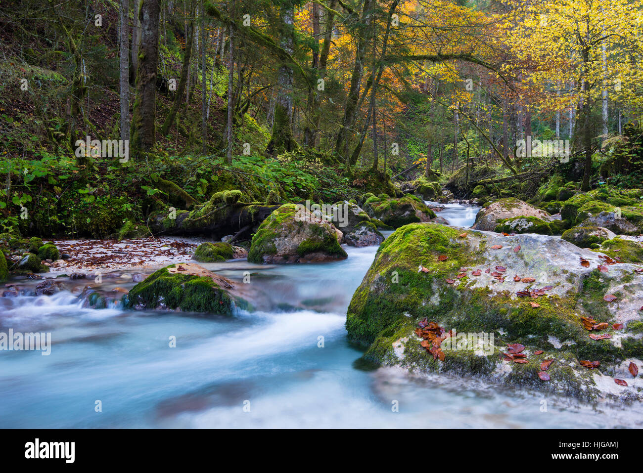 Hammersbach hi-res stock photography and images - Alamy