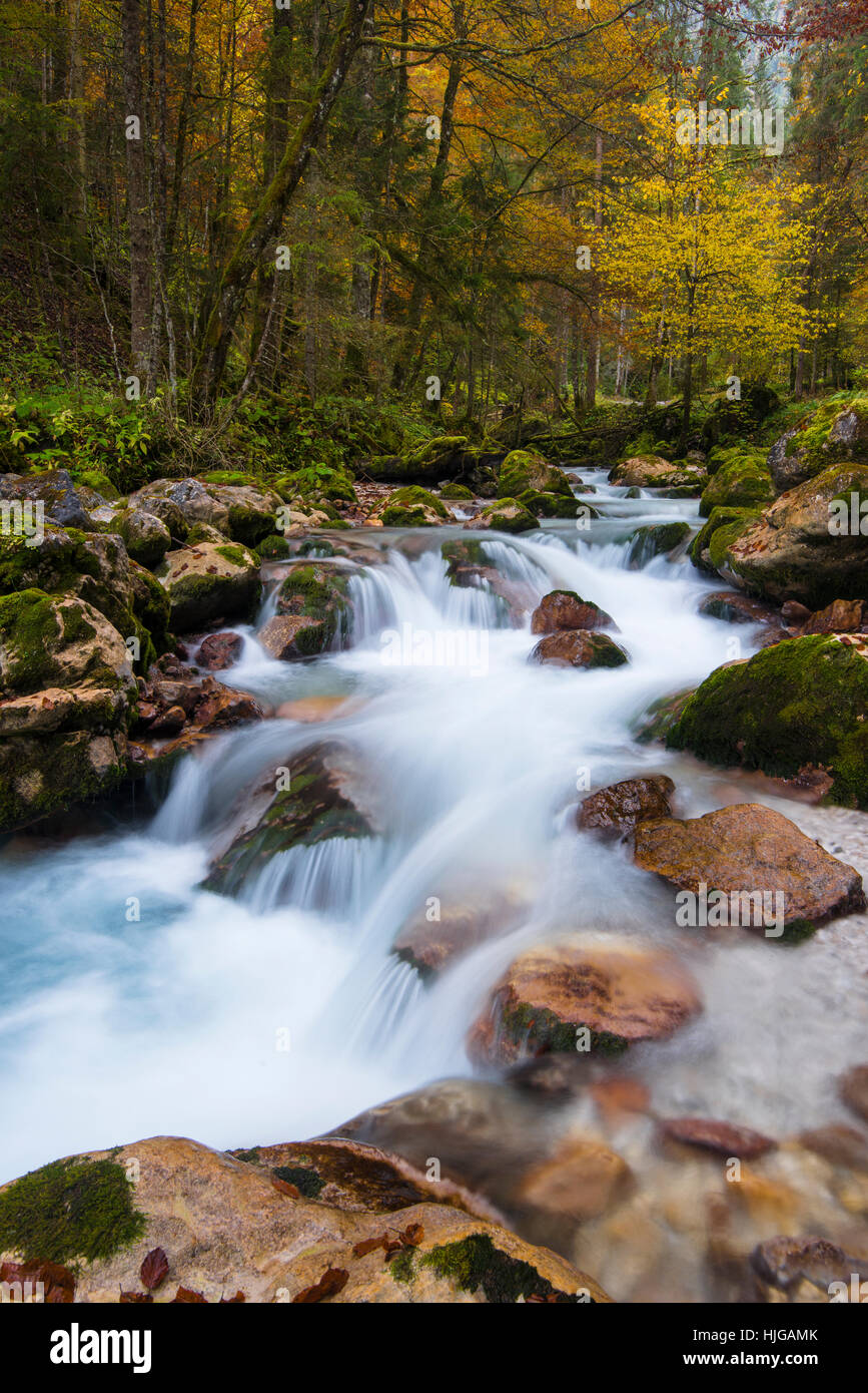 Hammersbach in autumn, Grainau, Garmisch-Partenkirchen, Upper Bavaria ...