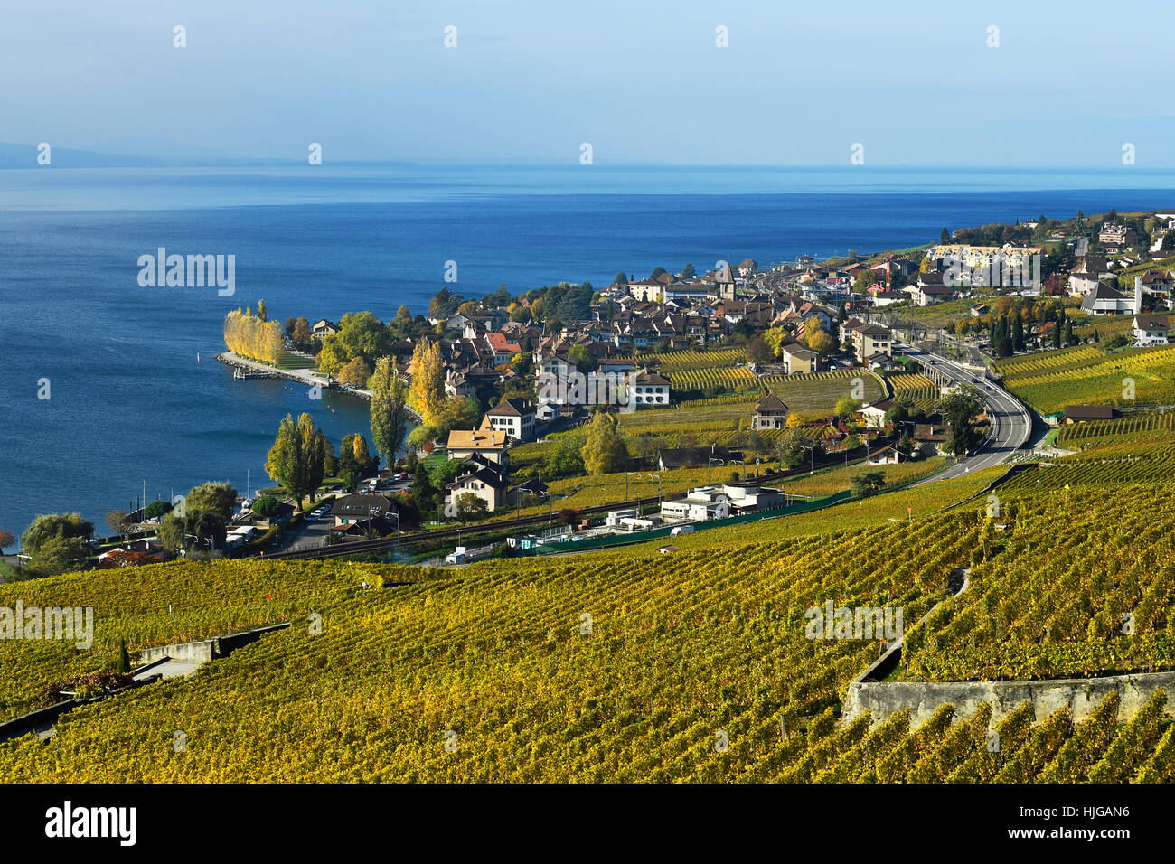 Vineyards in autumn with a view of the wine-producing Cully village ...