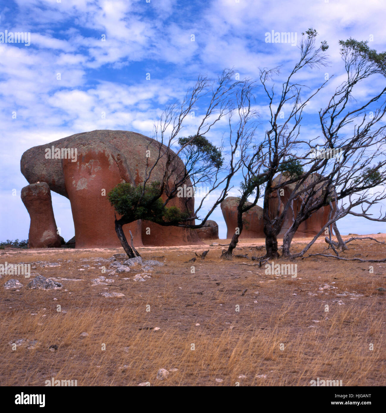Murphys Rock High Resolution Stock Photography and Images - Alamy