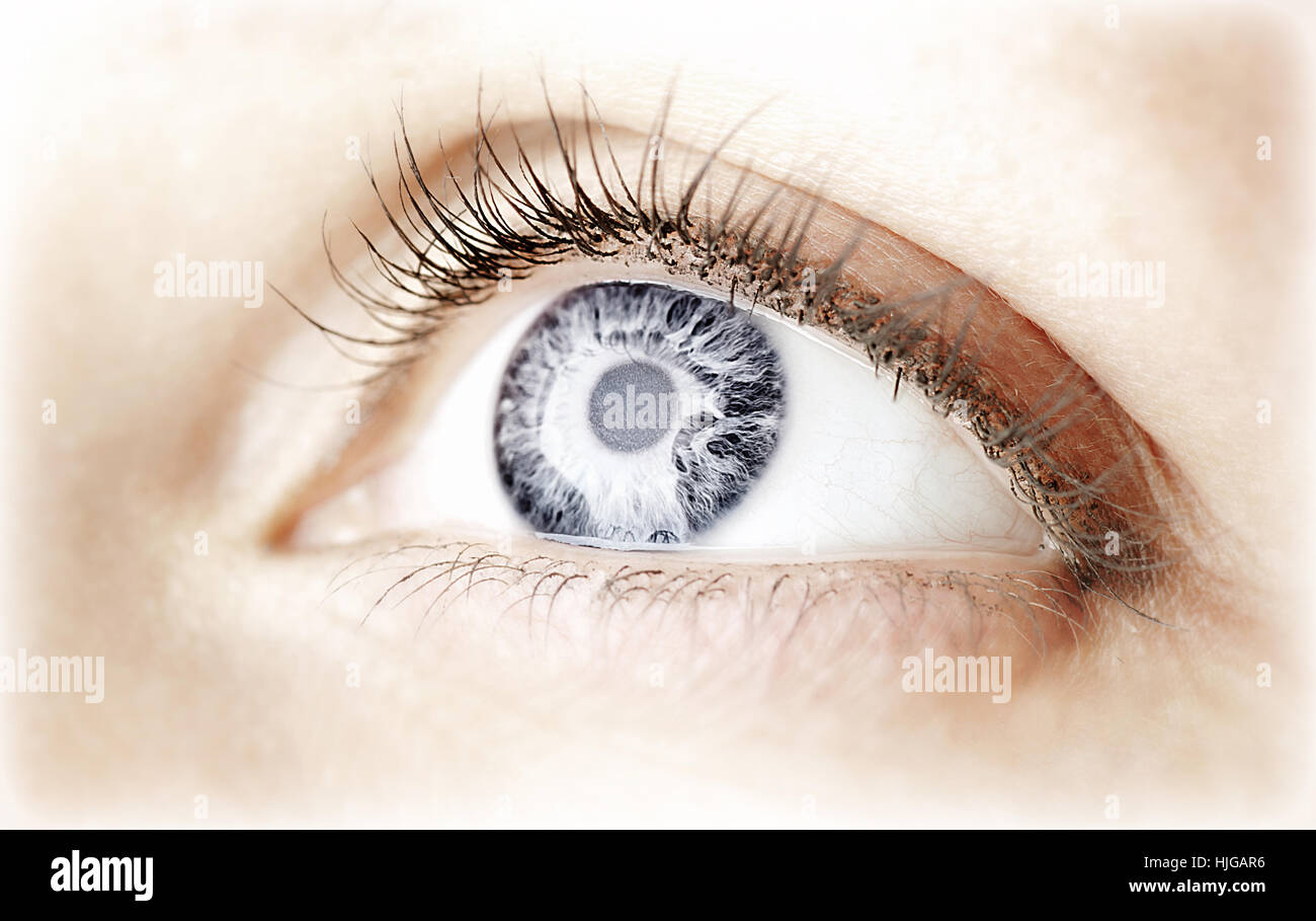 female, eye, organ, health care, cosmetic, woman, close, blue, humans ...