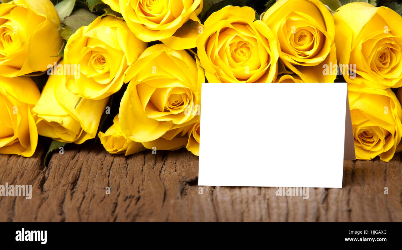 yellow roses with a writable card Stock Photo - Alamy