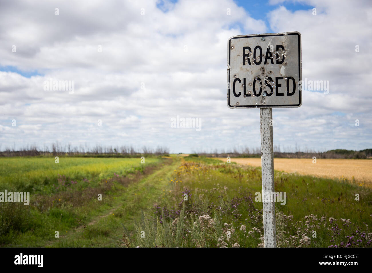 Stop sign with bullet holes hi-res stock photography and images - Alamy