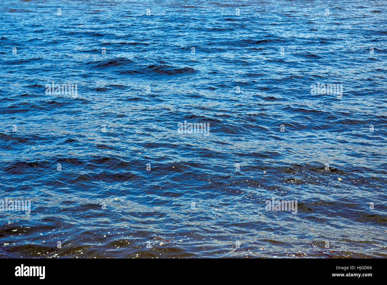 blue, liquid, flow, backdrop, background, fluid, blue, liquid, flow ...