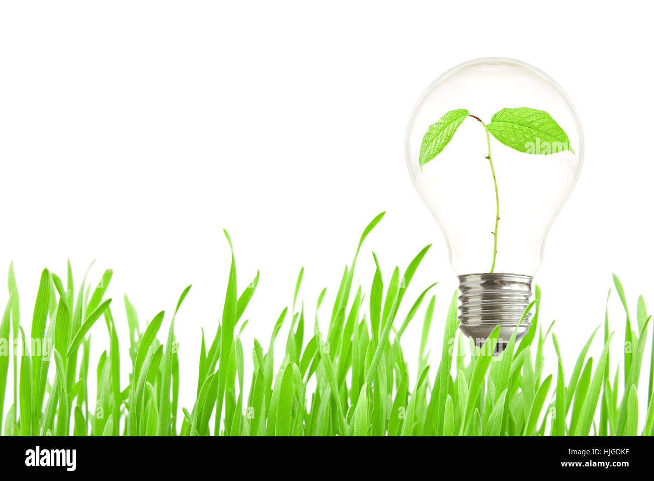 eco, energy, power, electricity, electric power, bulb, lightbulb ...