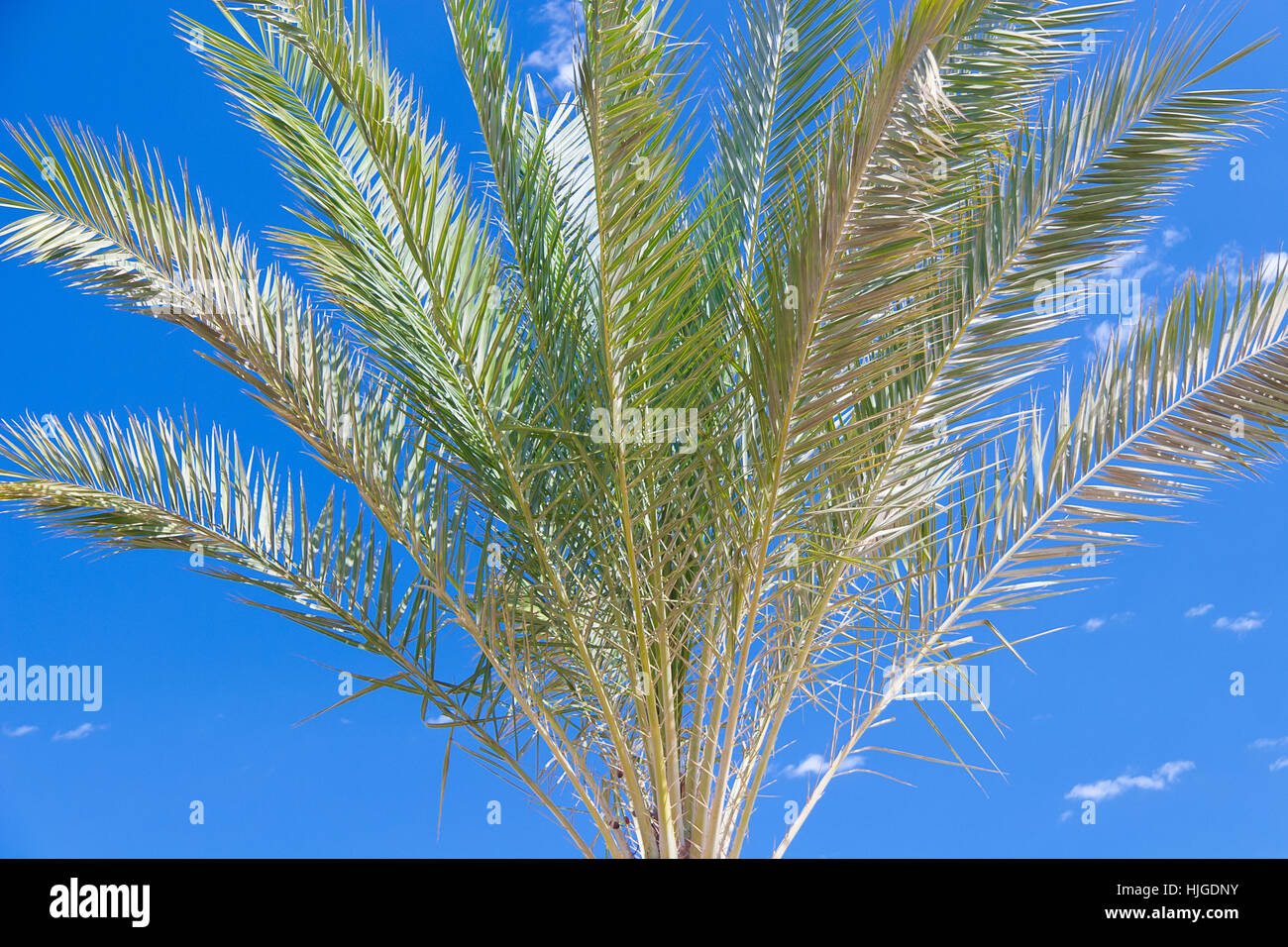 travel, model, design, project, concept, plan, draft, tree, trees ...