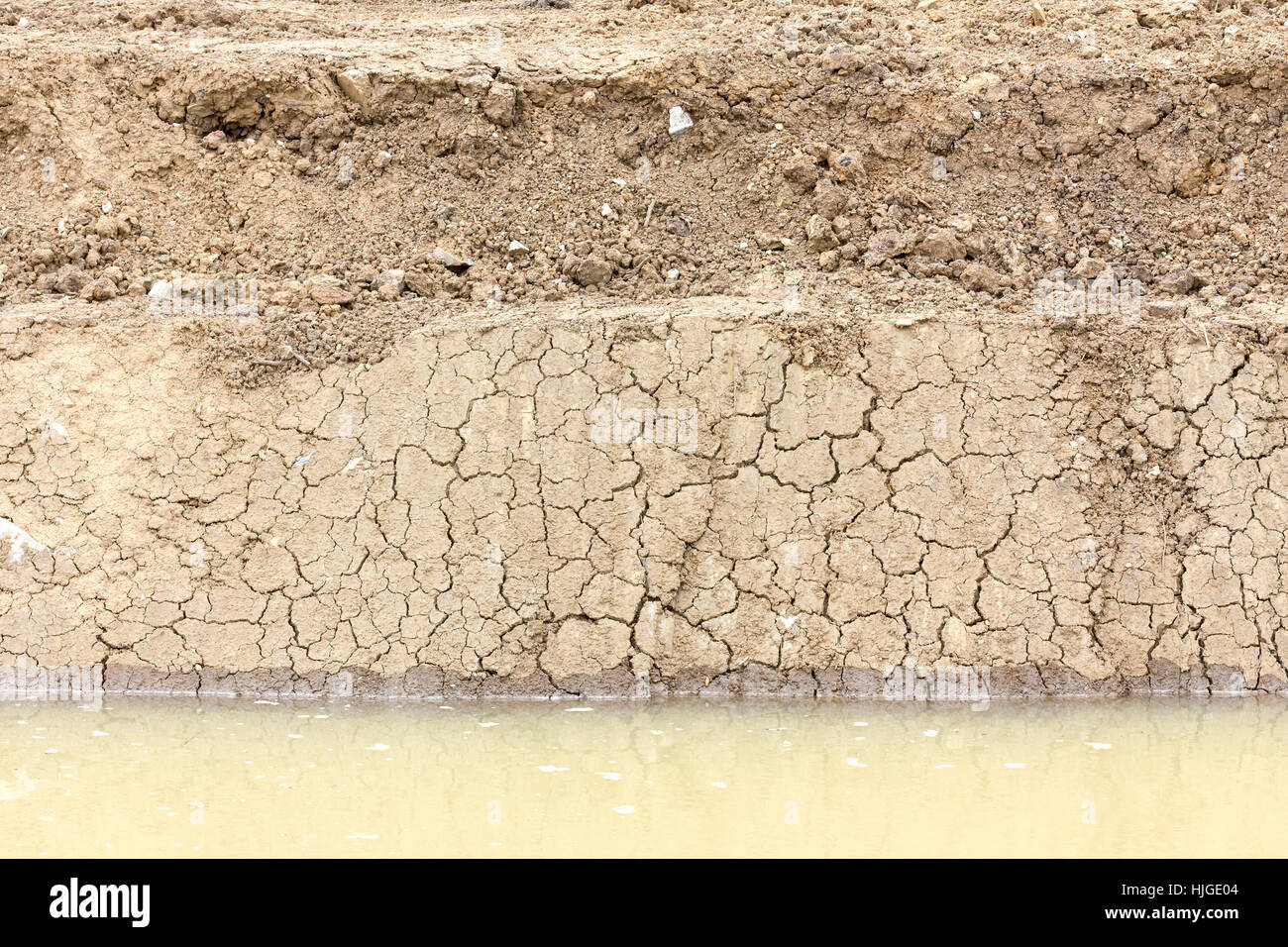 environment, enviroment, ground, soil, earth, humus, brown, brownish ...