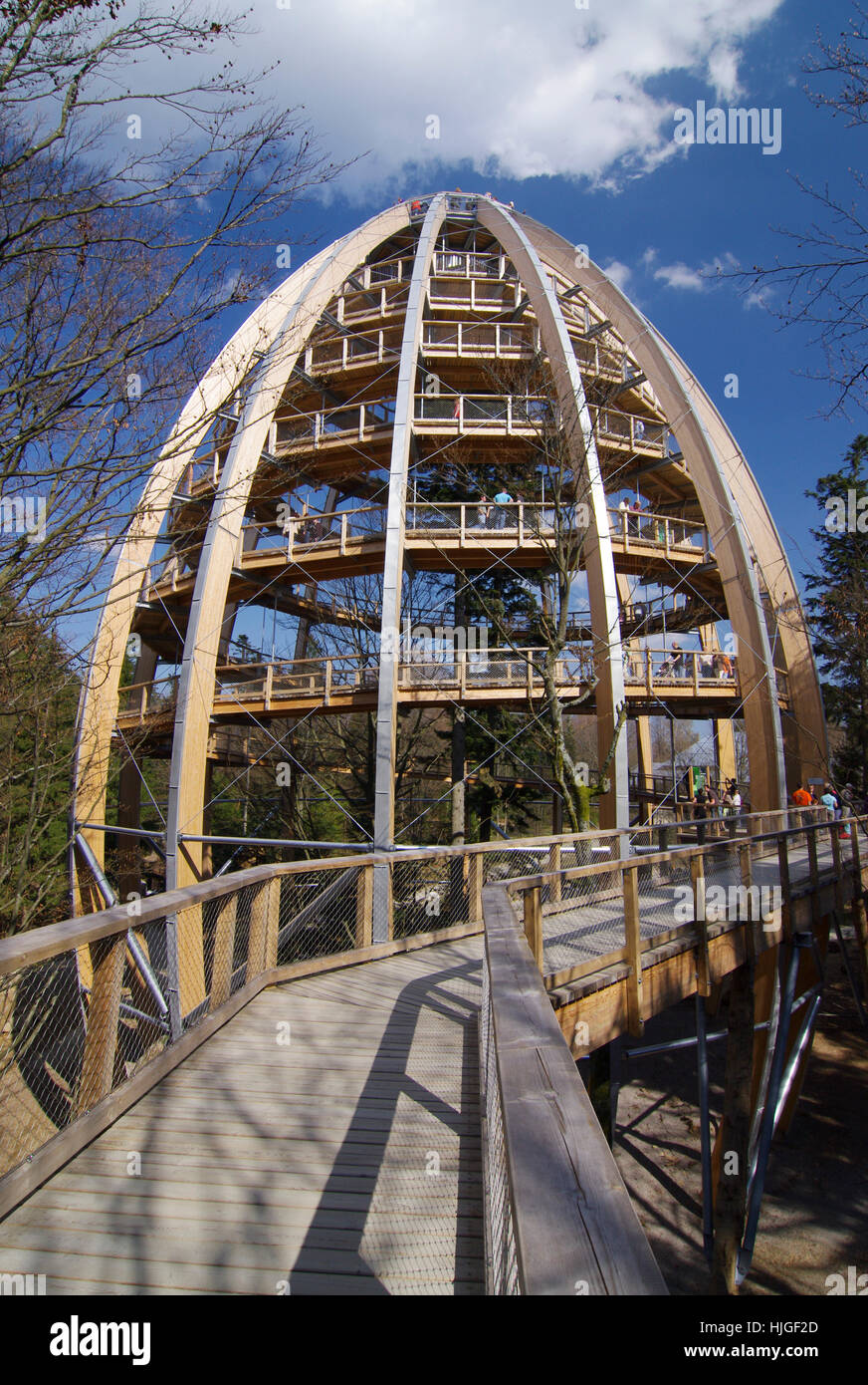 wood, national park, sightseeing, egg, path, way, forest, sign, signal ...