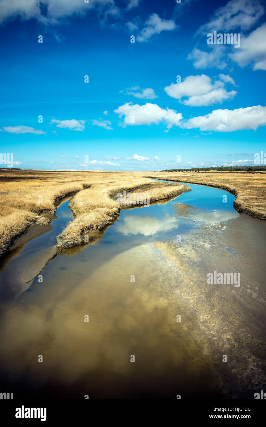 Attractive wetlands weed hi-res stock photography and images - Alamy