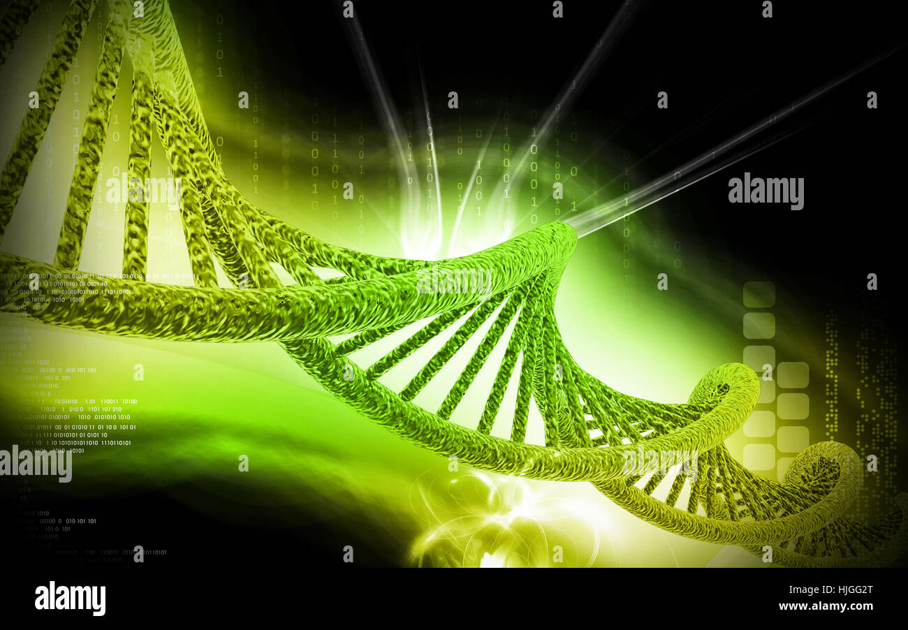 education, medicinally, medical, graphics, colour, science ...