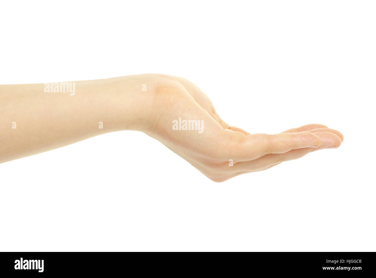 humans, human beings, people, folk, persons, human, human being, hand ...