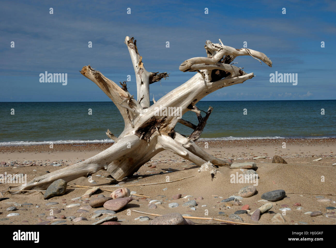 trunk, beach, seaside, the beach, seashore, coast, latvia, driftwood ...