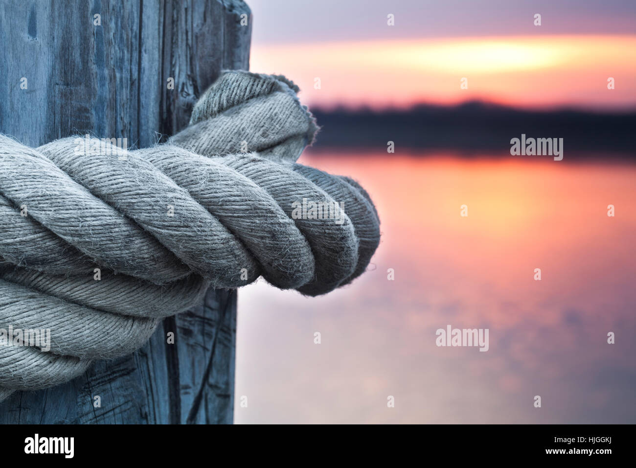 summer, summerly, dew, pole, cord, hold, rope, together, knot, shine ...