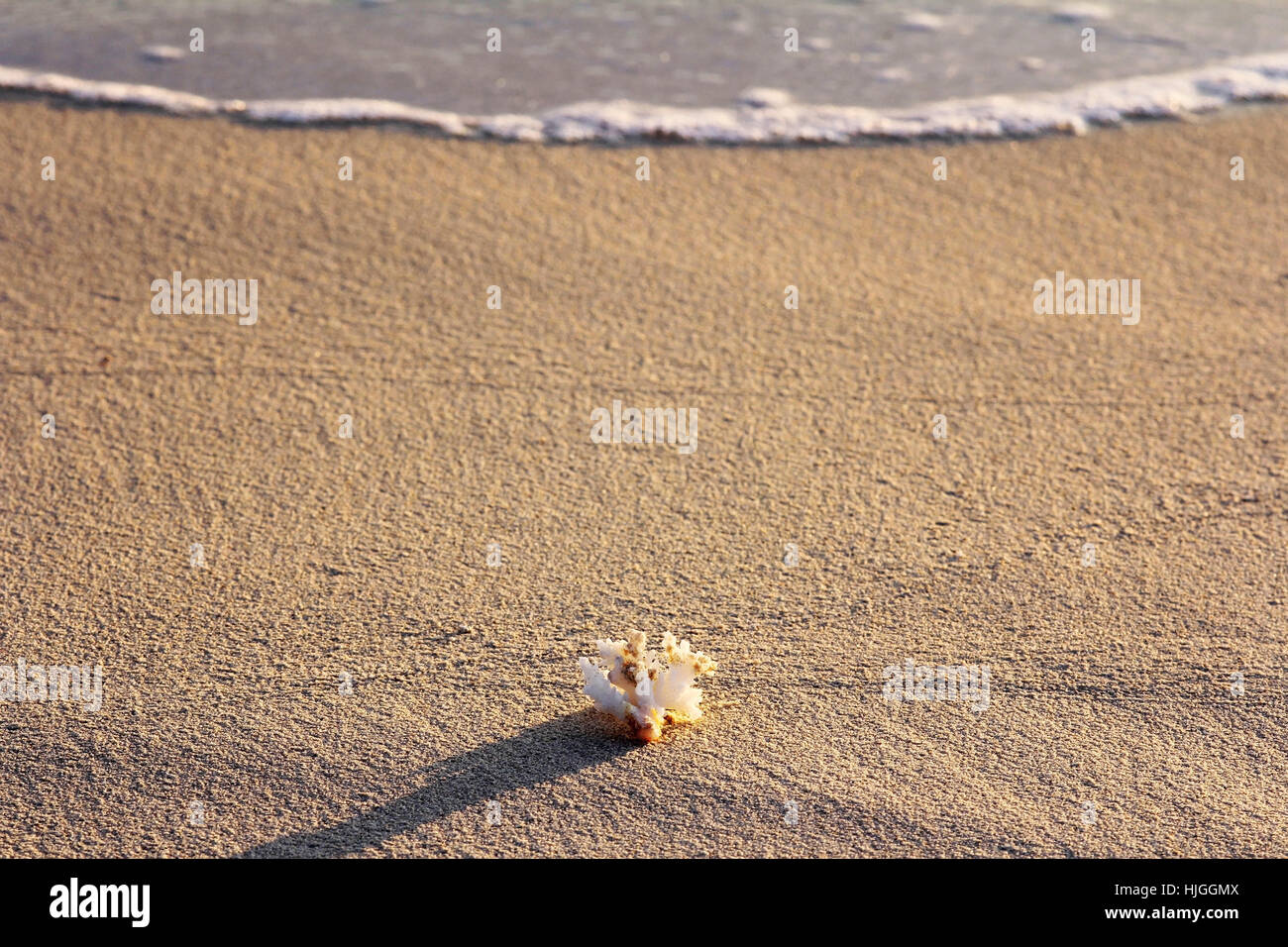 environment, enviroment, wave, wreck, salt water, sea, ocean, water ...