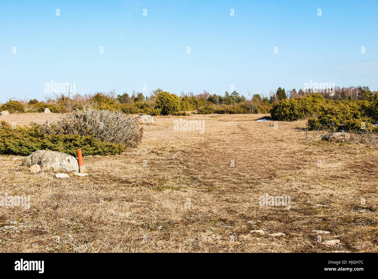 bushes, sweden, trail, wilderness, meadow, grass, lawn, green, blue ...