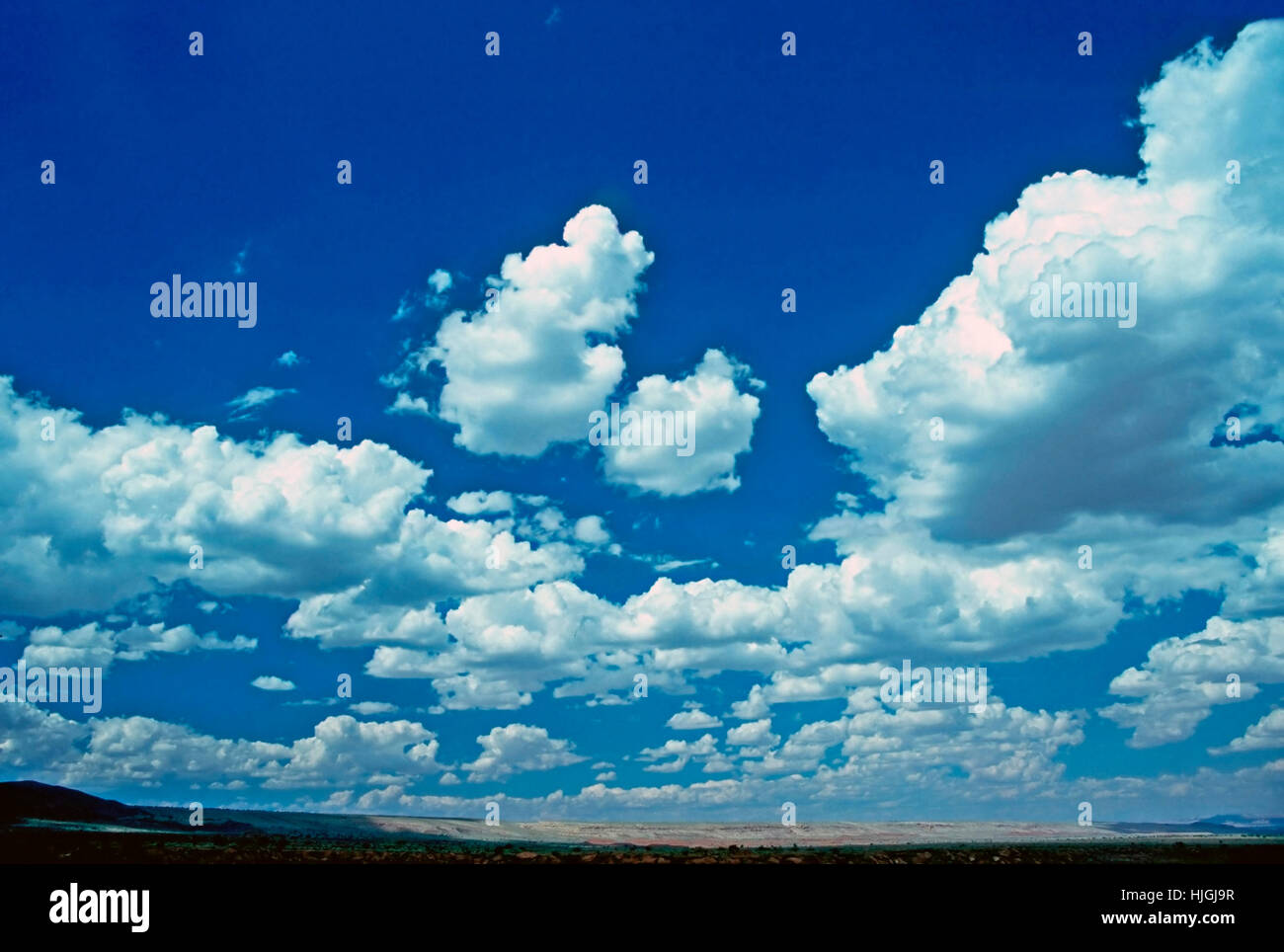 desert, wasteland, flora, arizona, weather, plants, landscape, scenery ...