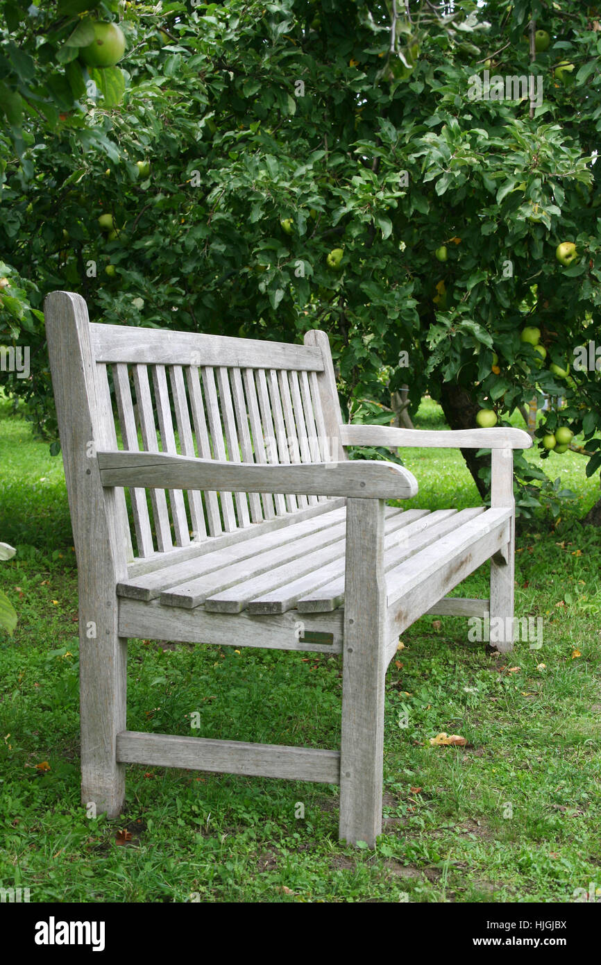 tree, trees, park, garden, wood, benches, apple tree, meadows, apple ...