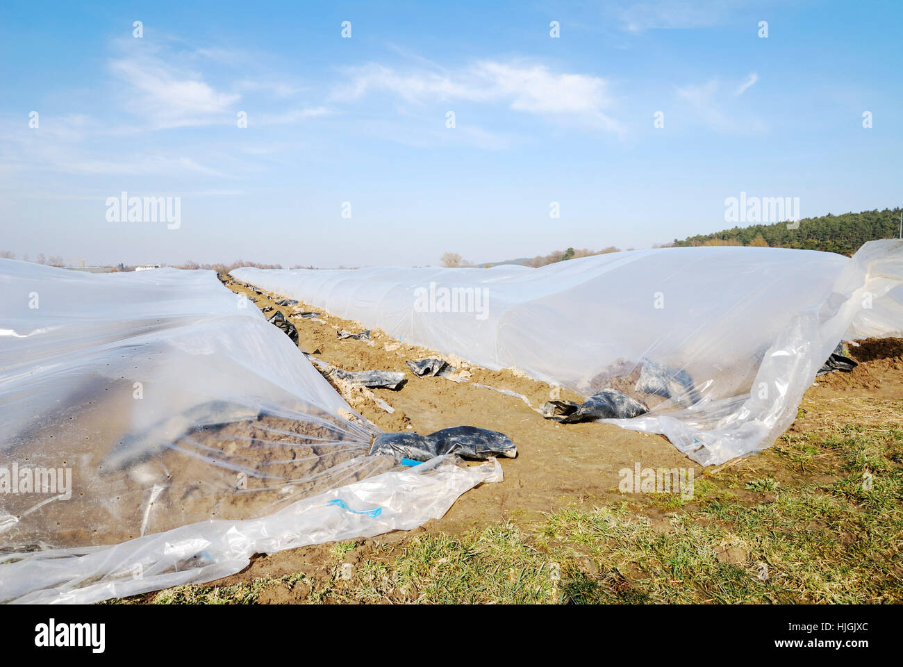 agriculture, farming, field, lines, row, acre, plastic, synthetic ...