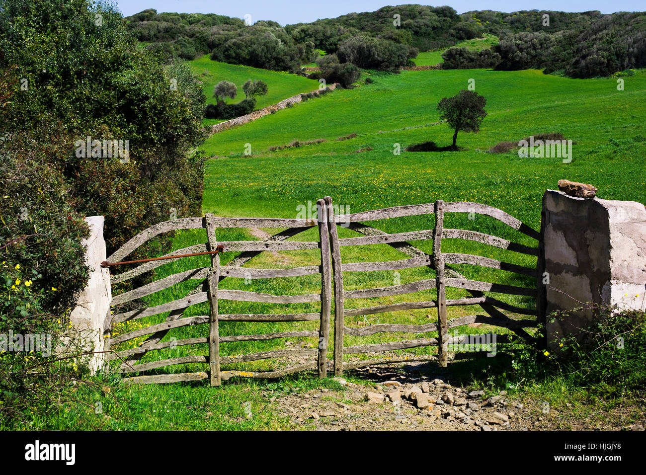 field, wall, spring, bouncing, bounces, hop, skipping, frisks, jumping ...
