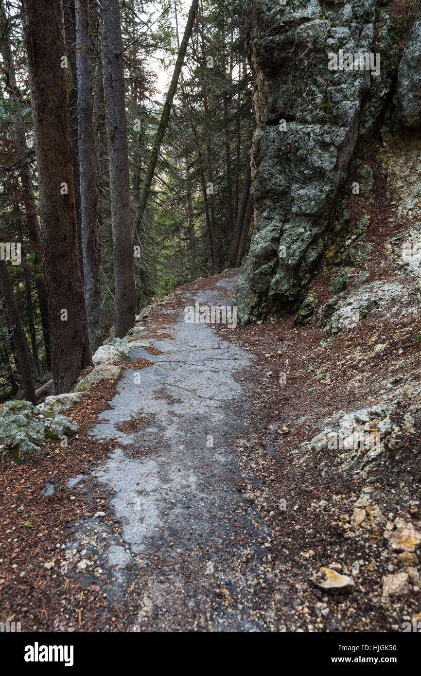 A section of the Red Rock Trail in the Grand Canyon of Yellowstone ...