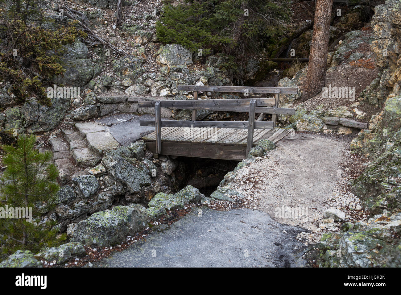 A bridge on the Red Rock Trail in the Grand Canyon of Yellowstone Stock ...