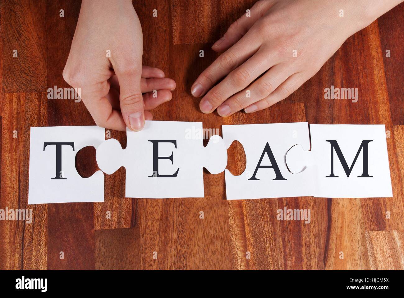 hand, hands, teamwork, jigsaw, puzzle, jigsaw puzzle, solution, group ...