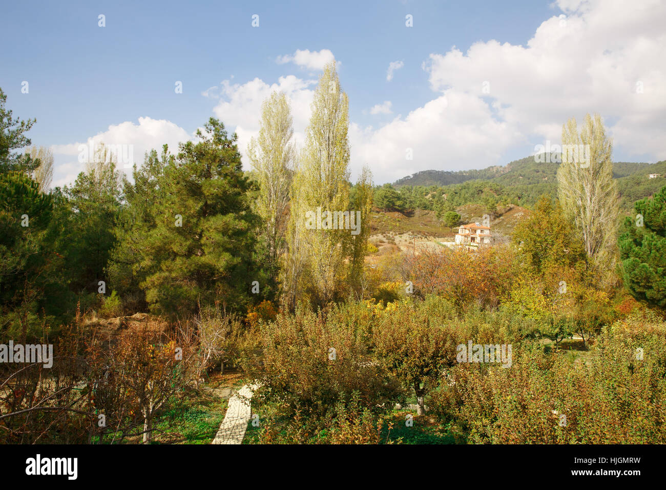 Cyprus village in mountains forest Stock Photo - Alamy