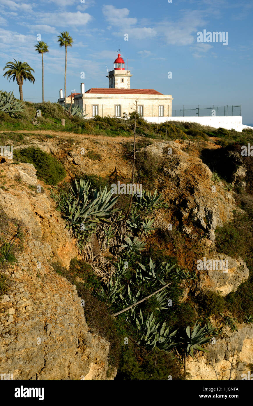 beacon, lighthouse, blue, plant, navigation, seafaring, maritime, shine ...