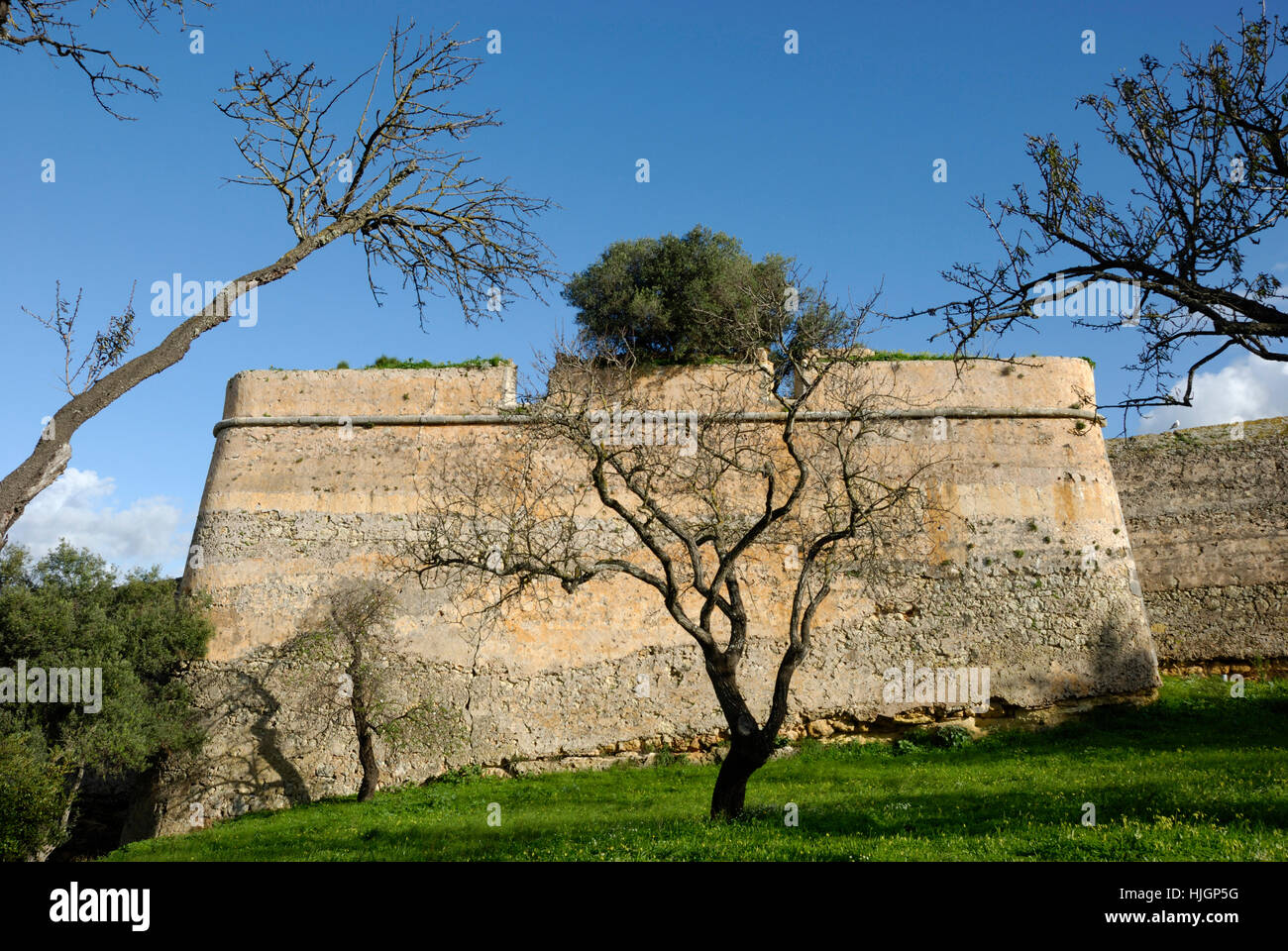 portugal, city wall, stonewall, bastion, battlement, blue, tree, trees ...