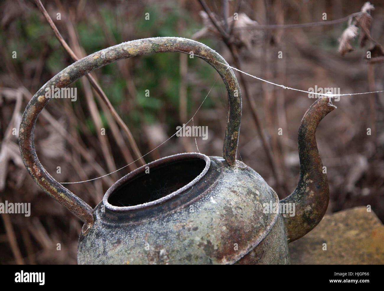 Old frost and cobweb covered kettle in garden Stock Photo - Alamy