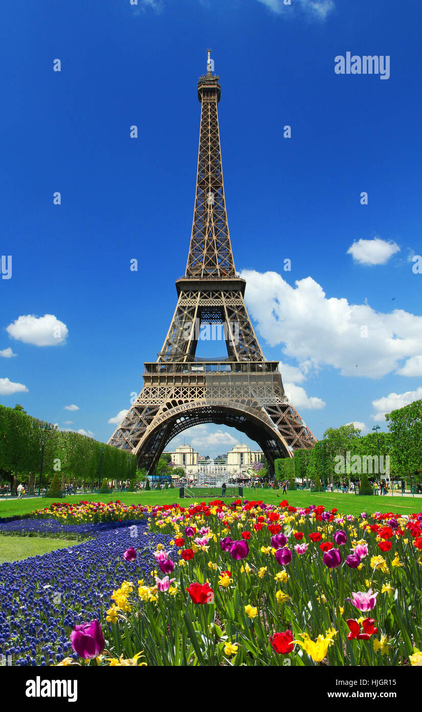 blue, tower, beautiful, beauteously, nice, travel, architectural ...