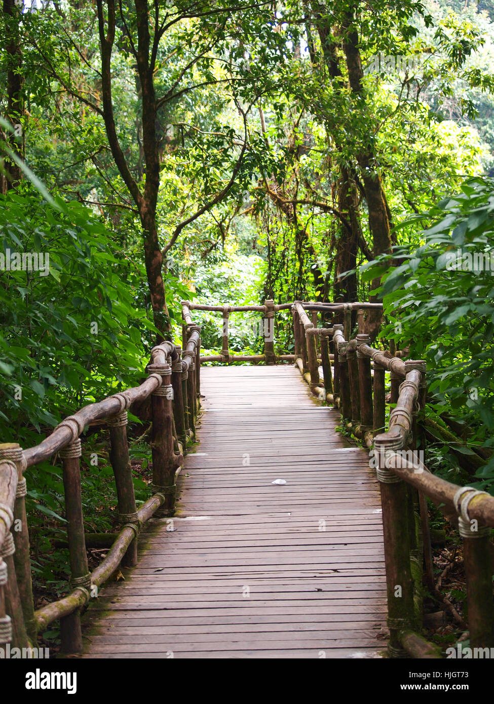 board, travel, environment, enviroment, tree, park, garden, wood, brown ...
