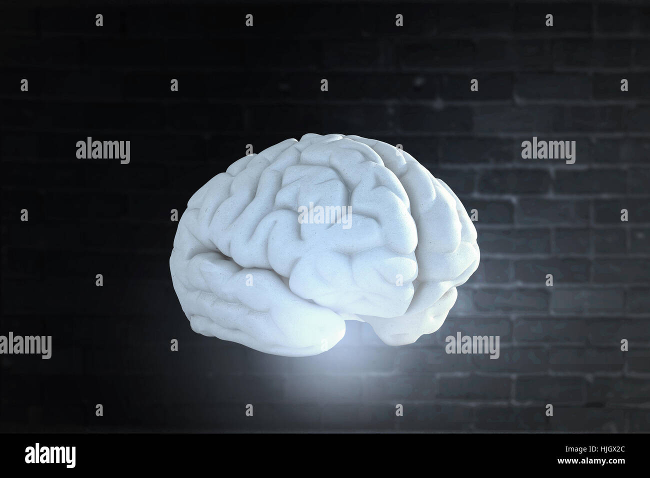 Human brain disease hi-res stock photography and images - Alamy