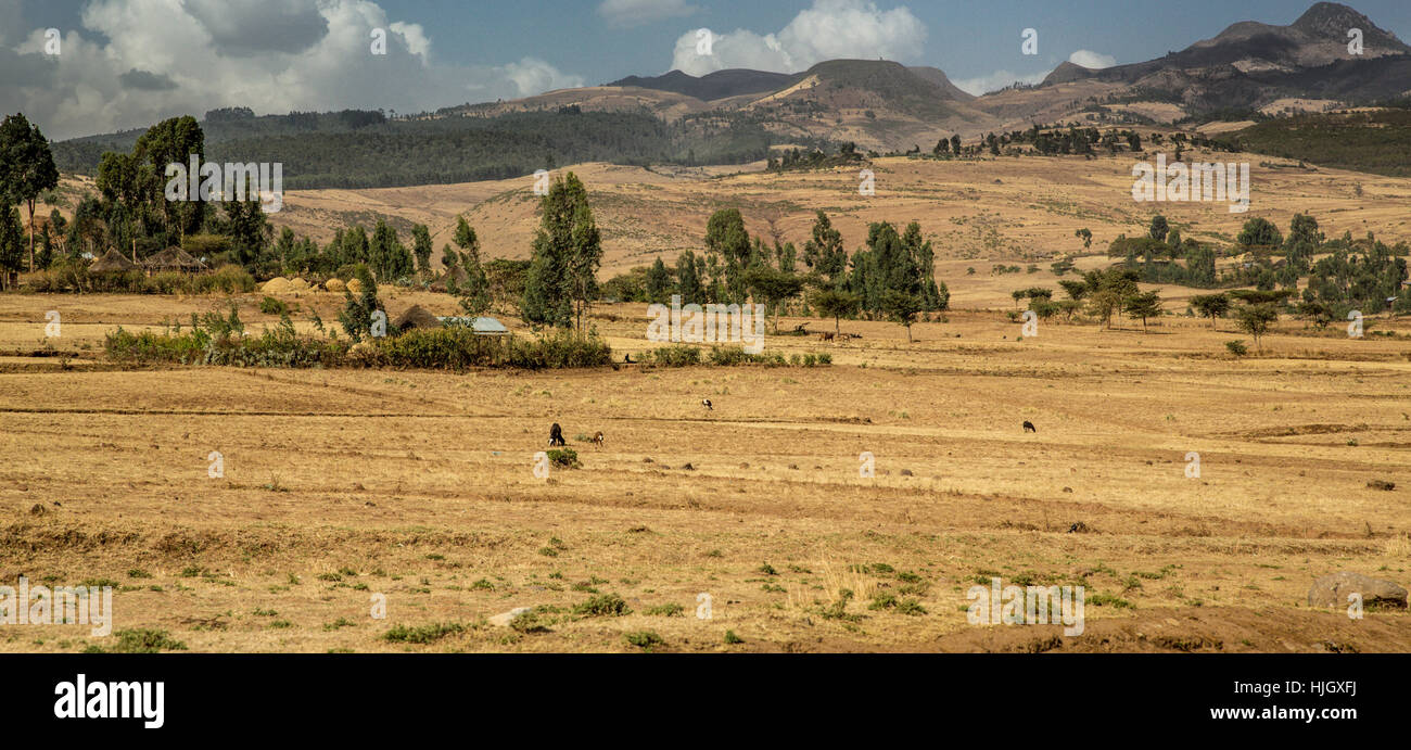 africa, landscape, scenery, countryside, nature, clouds, tree, trees ...