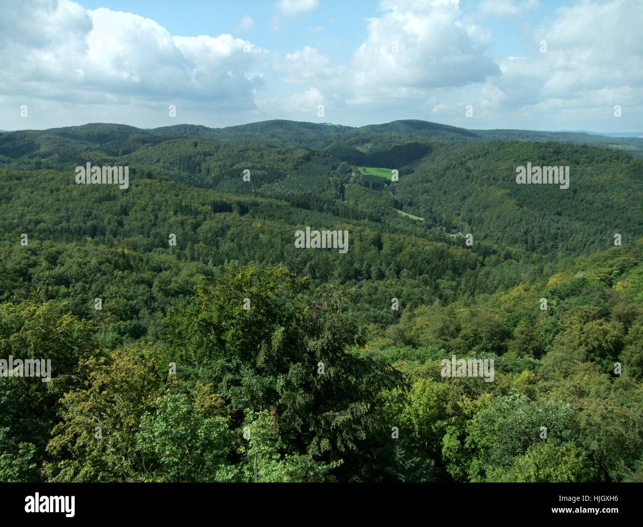 tree, aerial photograph, thuringia, germany, german federal republic ...