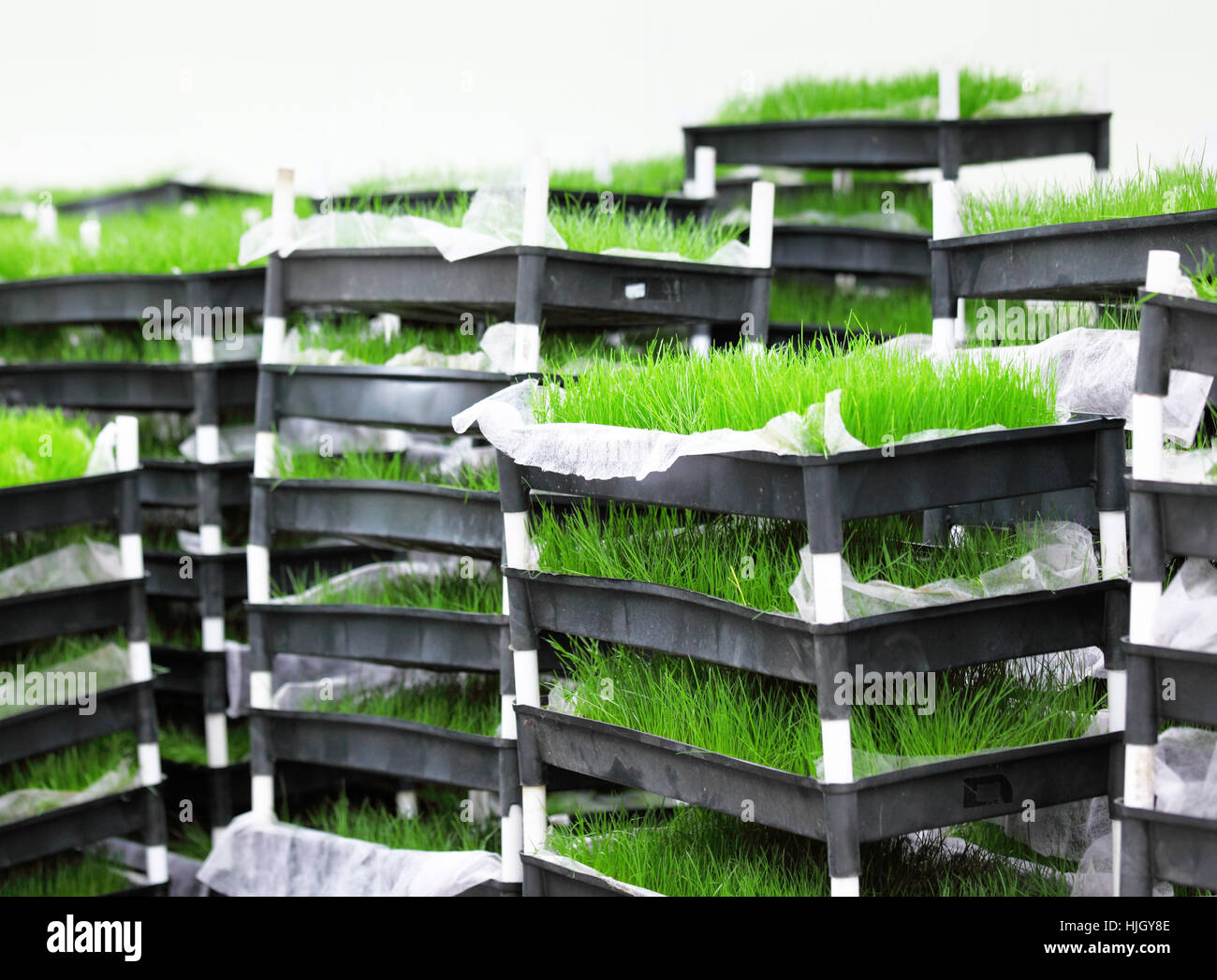 eco, environment, enviroment, model, design, project, concept, plan ...