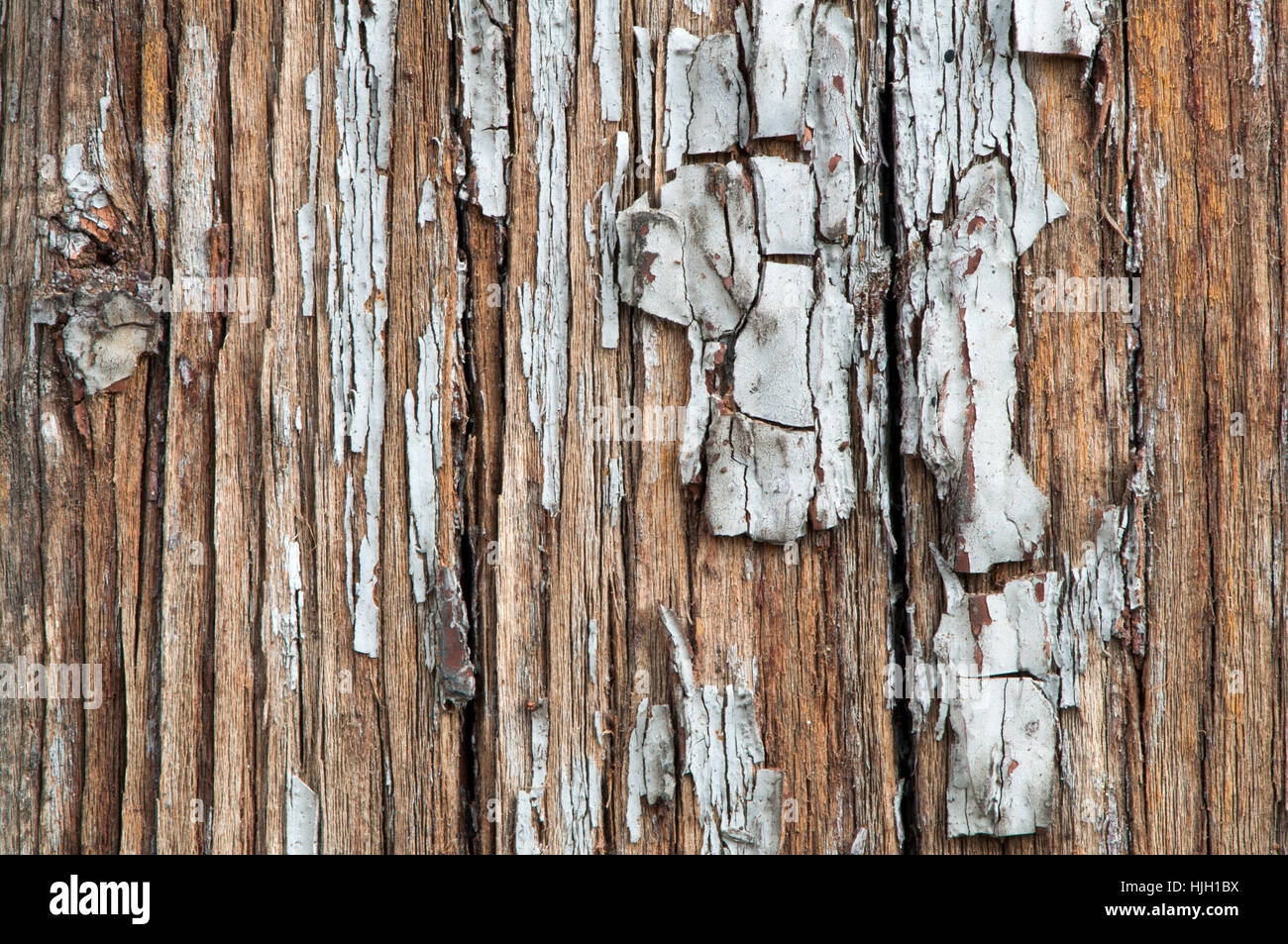 board, detail, colour, wood, rough, vintage, wall, decay, material ...
