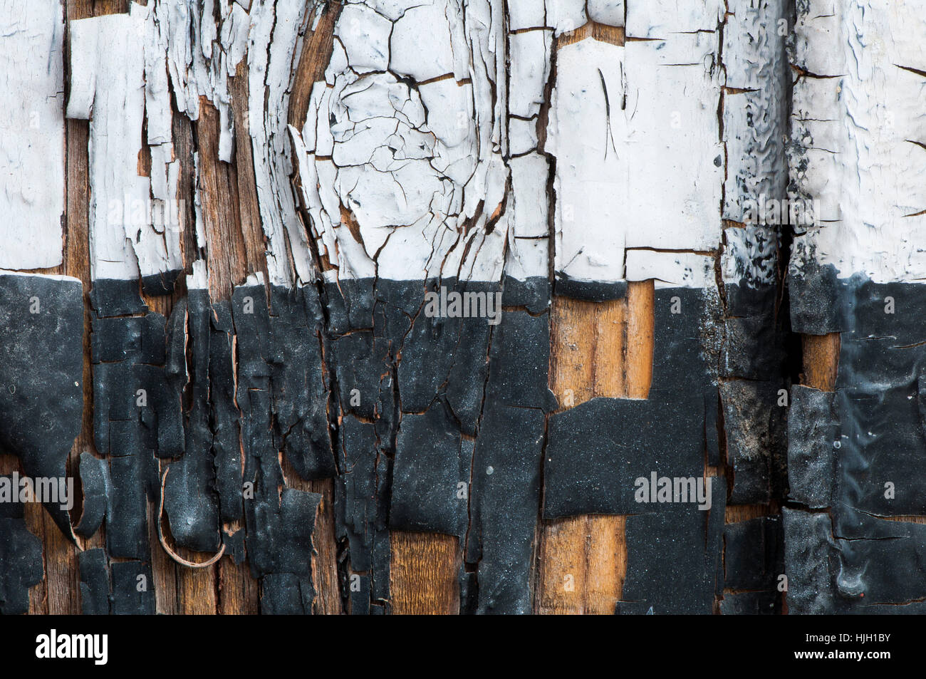 board, detail, colour, wood, rough, vintage, wall, decay, material ...