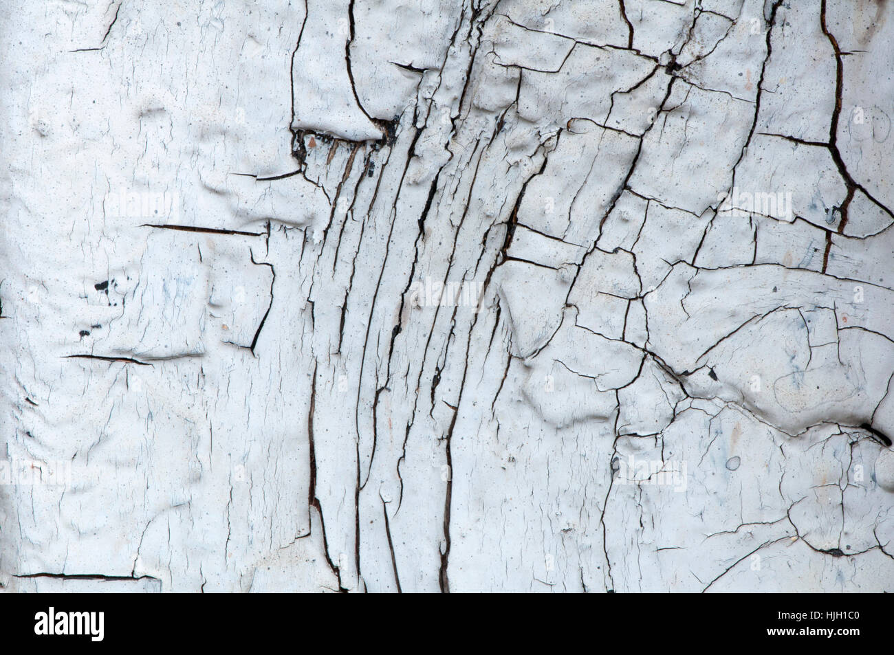 board, detail, colour, wood, rough, vintage, wall, decay, material ...