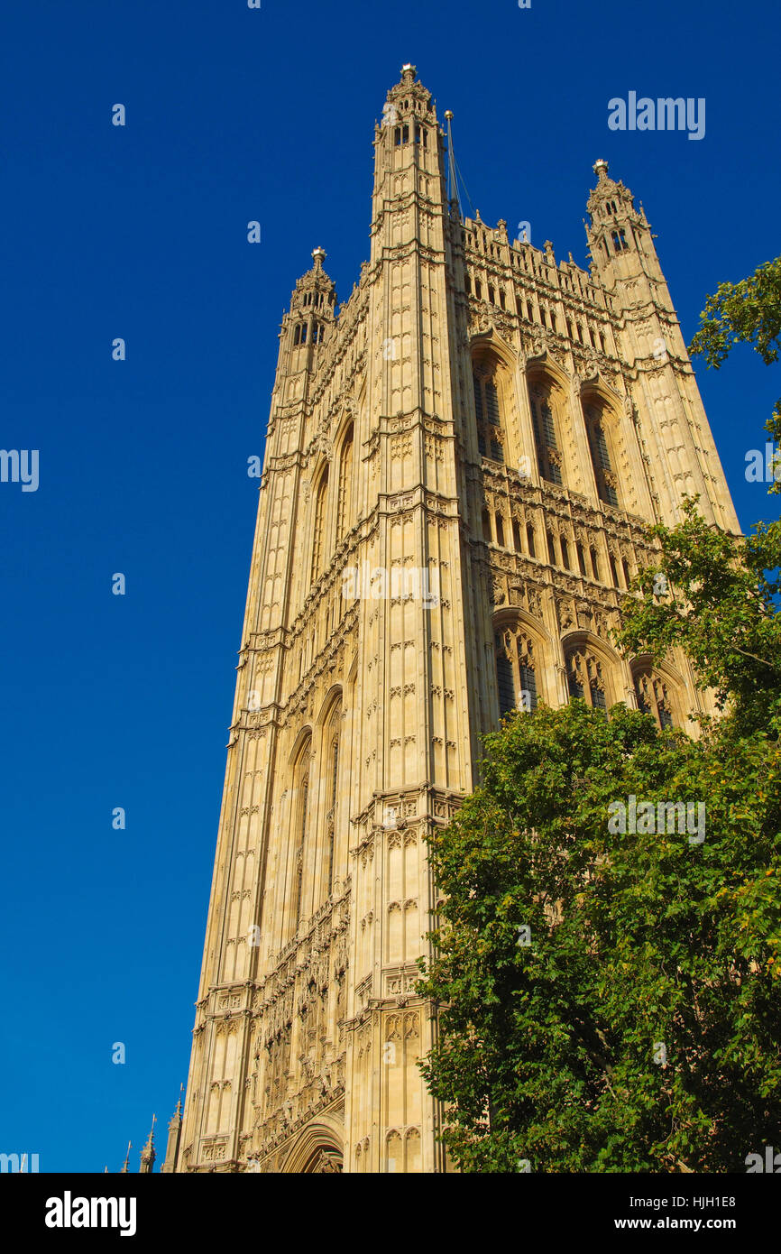 big, large, enormous, extreme, powerful, imposing, immense, relevant ...